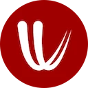 Is Windy Down? Check News Status Now | Is it down checker